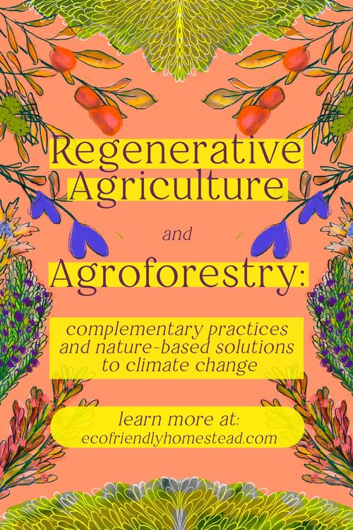 Regenerative No-Till Agriculture and Agroforestry: Complementary Practices